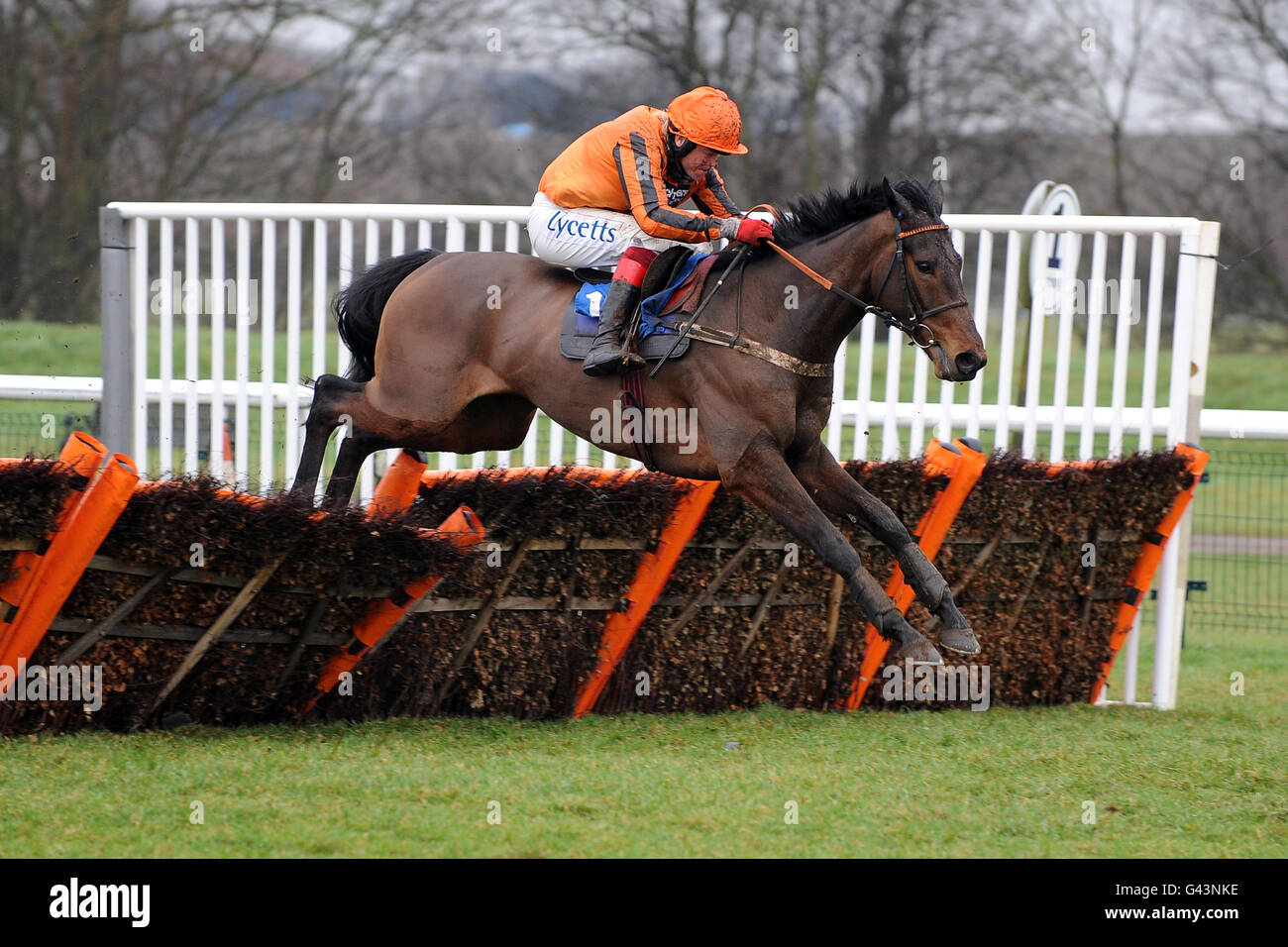 Jockey Robert Thornton on Pantxoa jumps during the Corona And Three ...