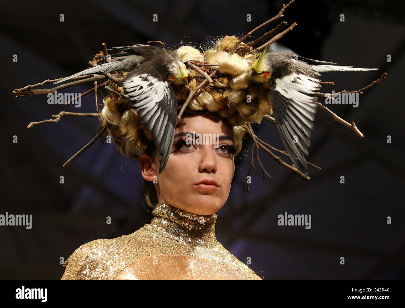 Model Daisy Lowe on the catwalk during the Pam Hogg show as part of ...