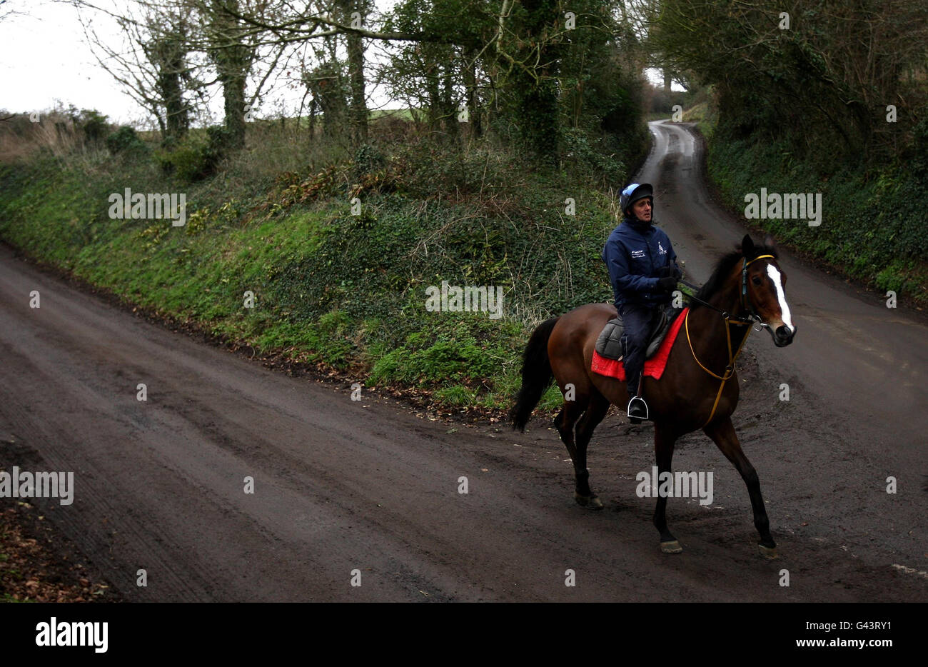 Kauto Star makes his way back from the gallops during a visit to Paul ...