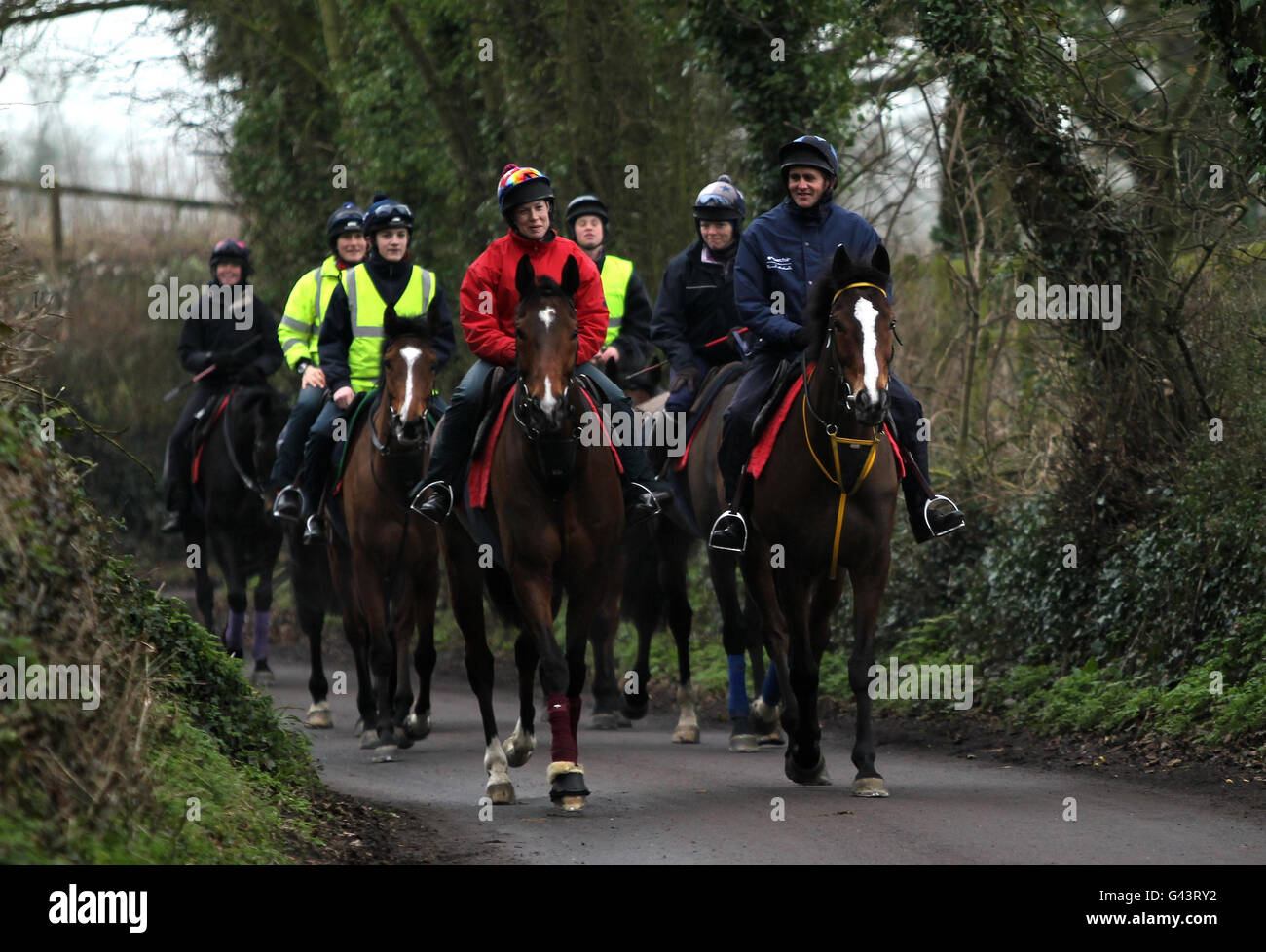 Kauto star stables hi-res stock photography and images - Alamy
