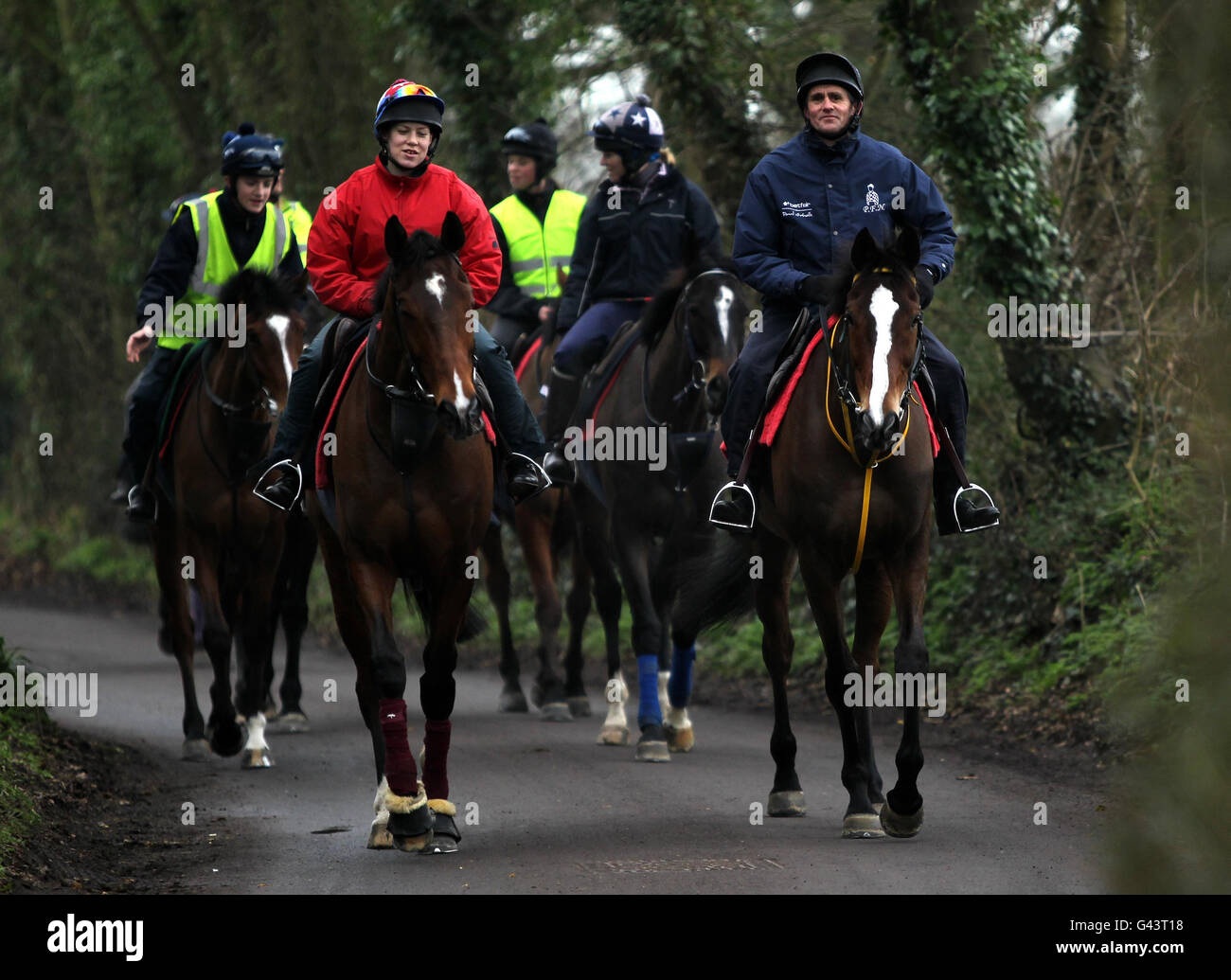Horse Racing - Paul Nichols Stable Visit - Manor Farm Stables Stock ...