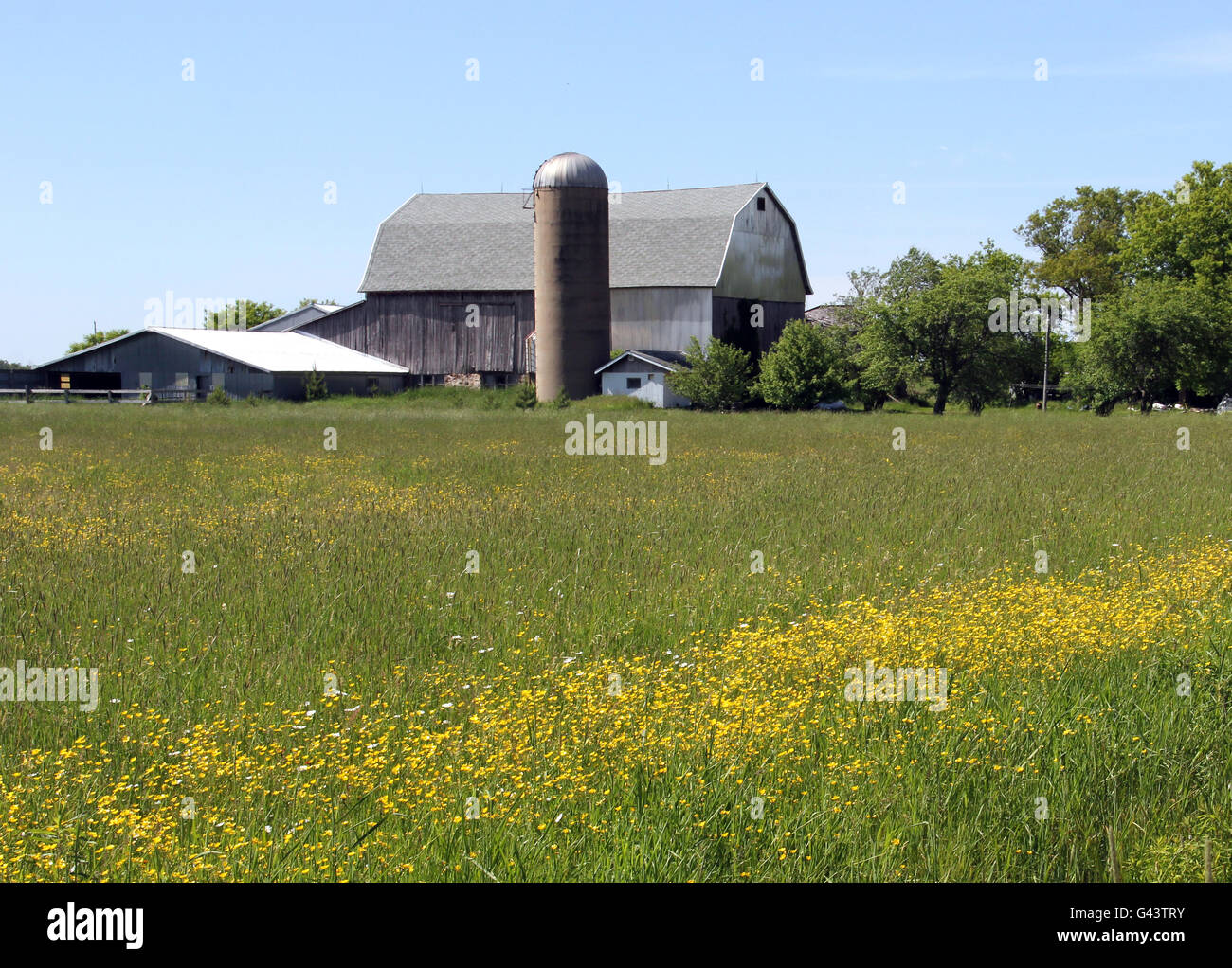 Farm silo hi-res stock photography and images - Alamy