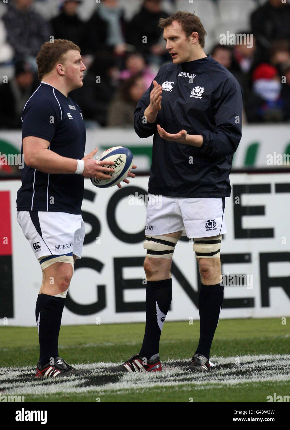 Scotland rugbyu scotland full length speaking mangrr hi-res stock ...