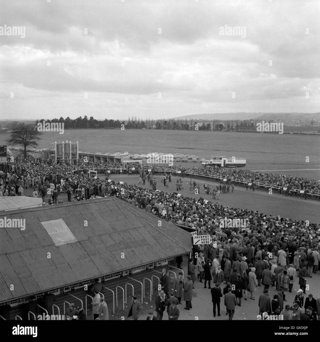 Horse Racing - Cheltenham Festival - Cheltenham Gold Cup - Cheltenham ...