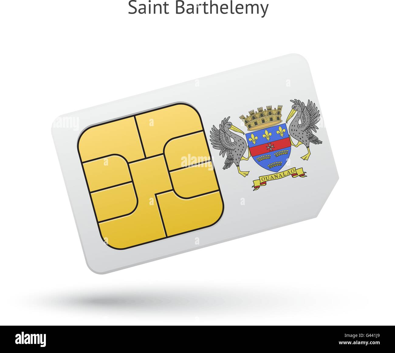 Saint Barthelemy mobile phone sim card with flag Stock Vector Image ...