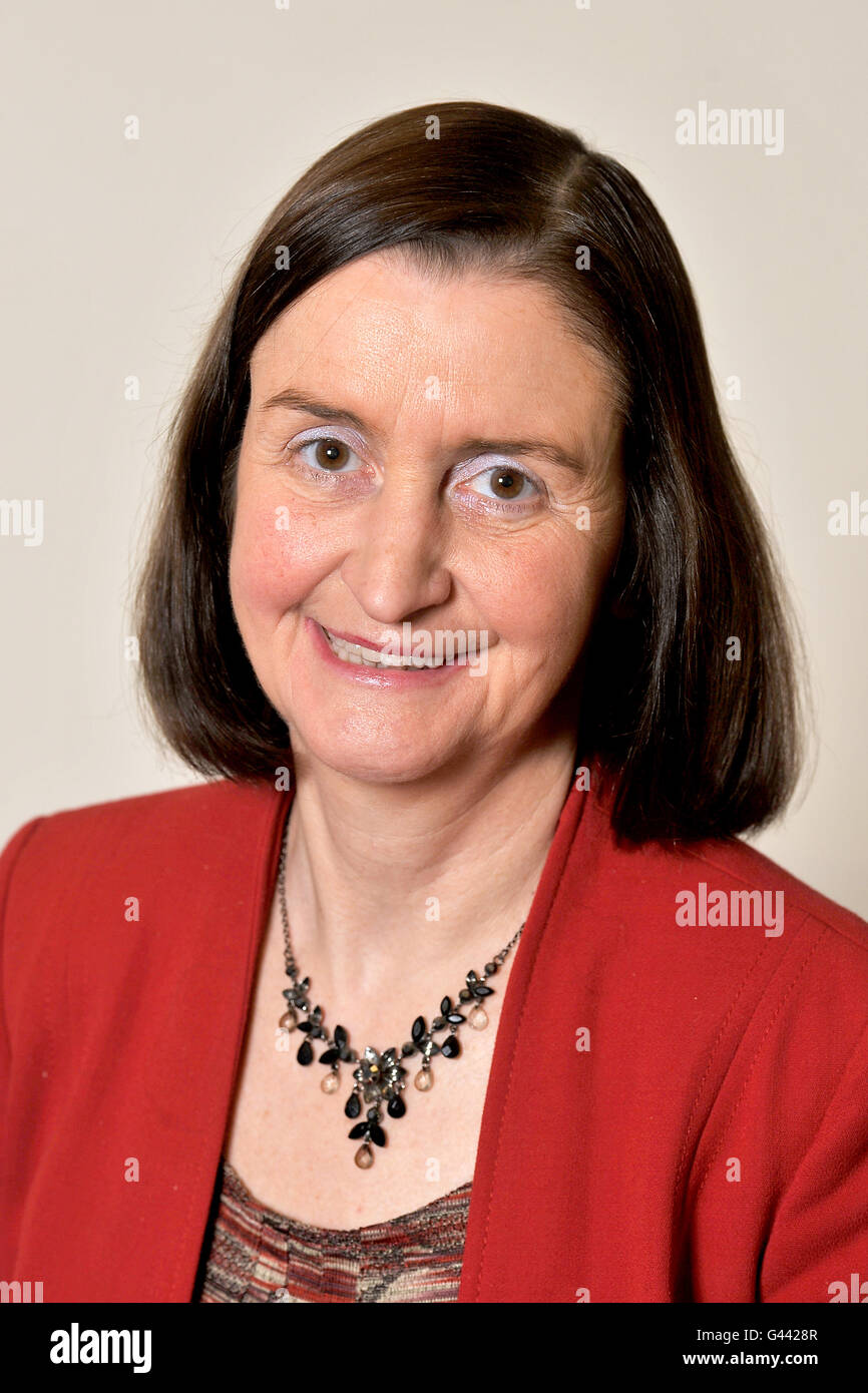 Labour mp for llanelli High Resolution Stock Photography and Images - Alamy