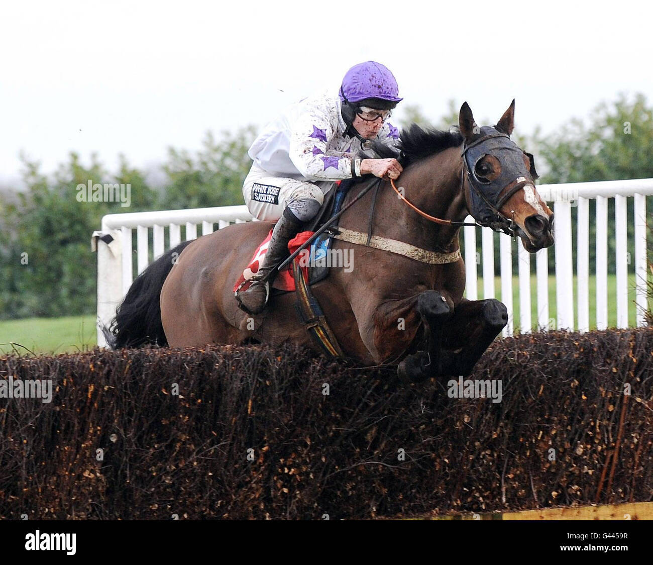 Racing doncaster full length jumping mangsk hi-res stock photography ...