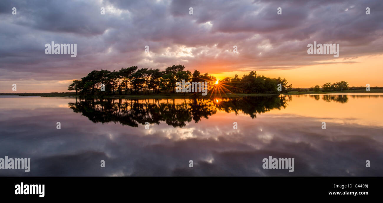 Hatchet Pond in the New Forest Stock Photo - Alamy