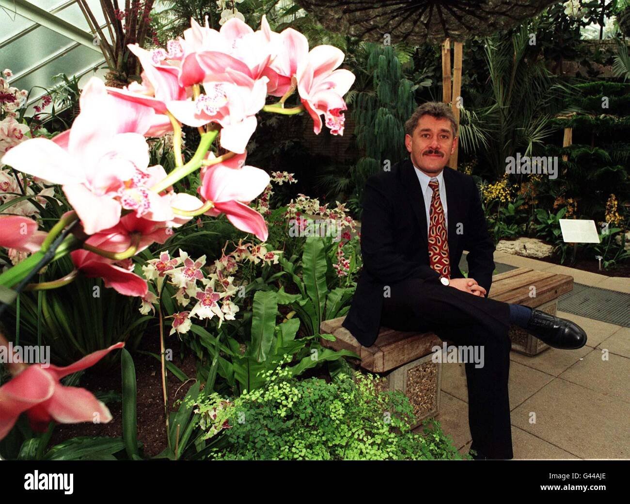 KEW GARDENS' DIRECTOR O OPERATIONS - JOHN LAVIN Stock Photo - Alamy