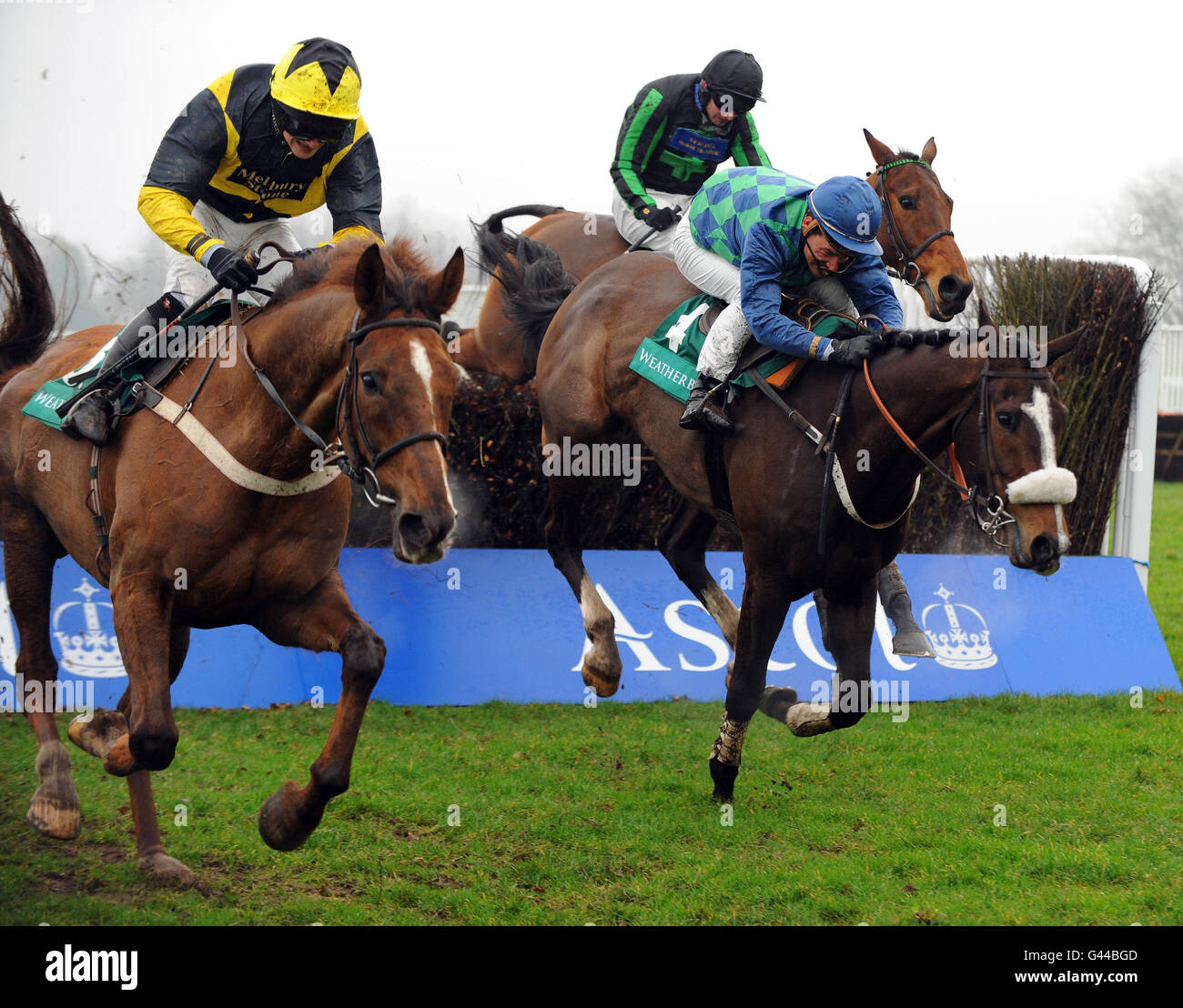 Nathan Sweeney on The Sawyer (left), Jacques Ricou on Royal Tune (right ...