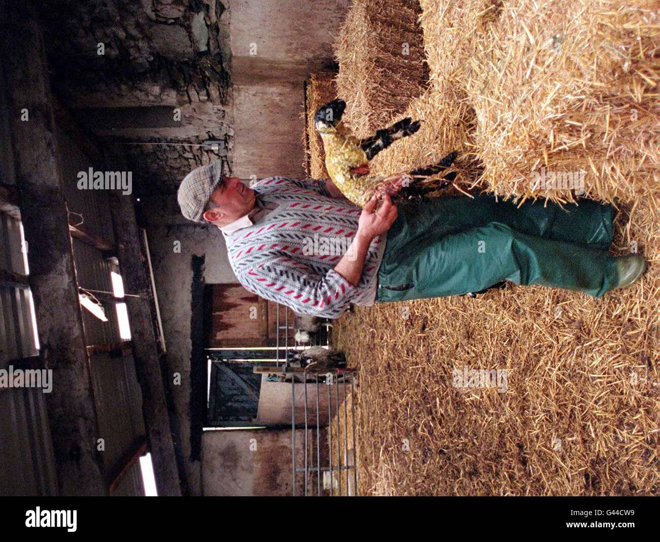 Effects of chernobyl hi-res stock photography and images - Alamy