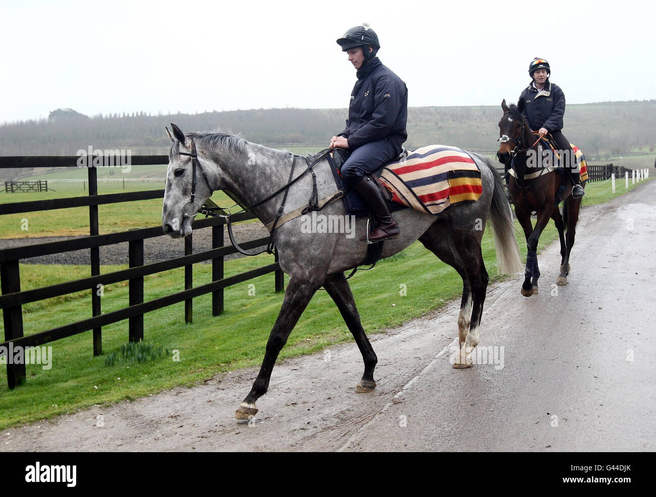 Horse Racing - Alan King Stables Visit - Barbury Castle Stables Stock ...
