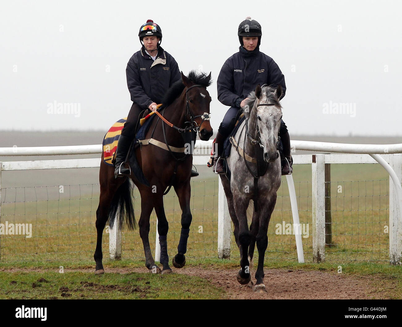 Horse Racing - Alan King Stables Visit - Barbury Castle Stables Stock ...