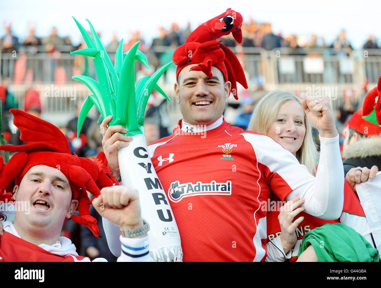 Welsh fans in the stands hi-res stock photography and images - Alamy