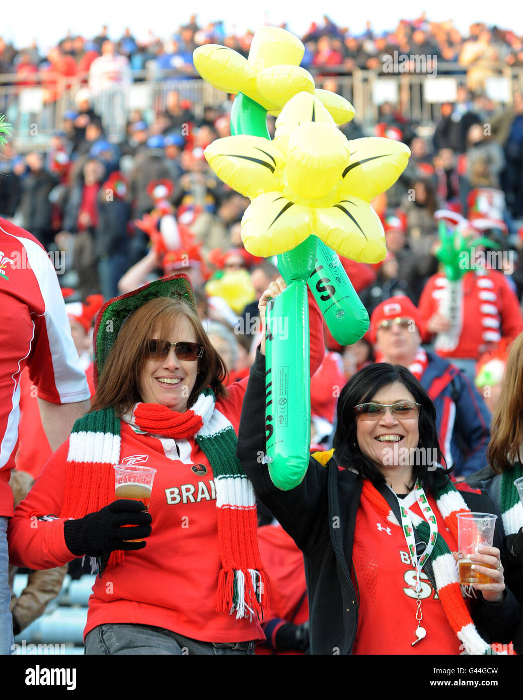 Welsh fans in the stands hi-res stock photography and images - Alamy