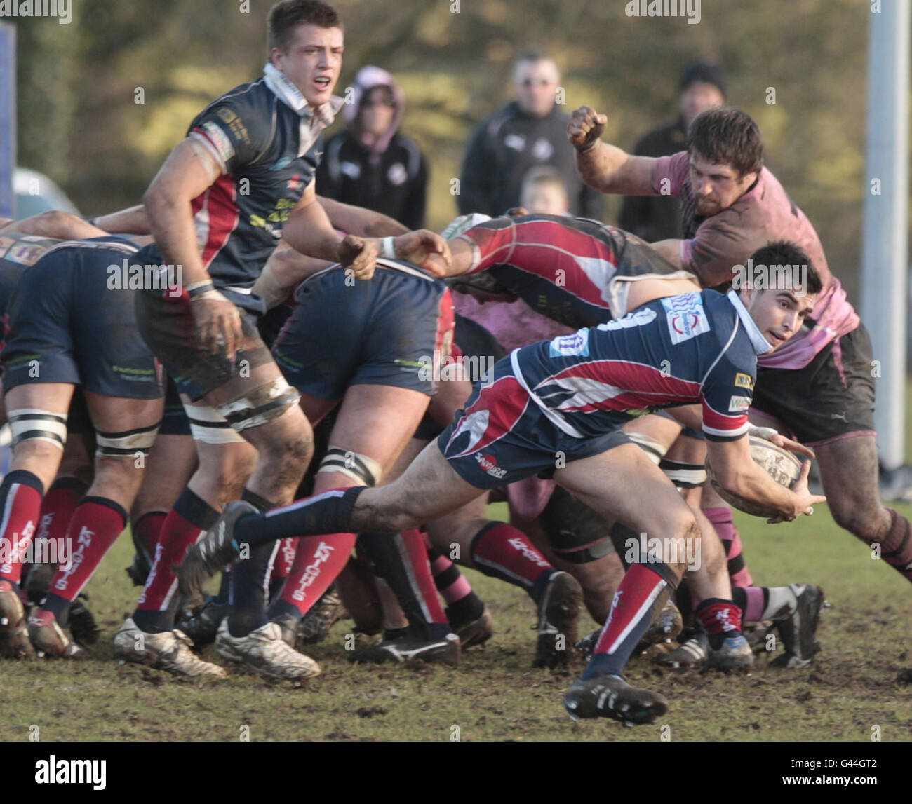 Rugby Union - British and Irish Cup - Ayr v Doncaster Knights ...