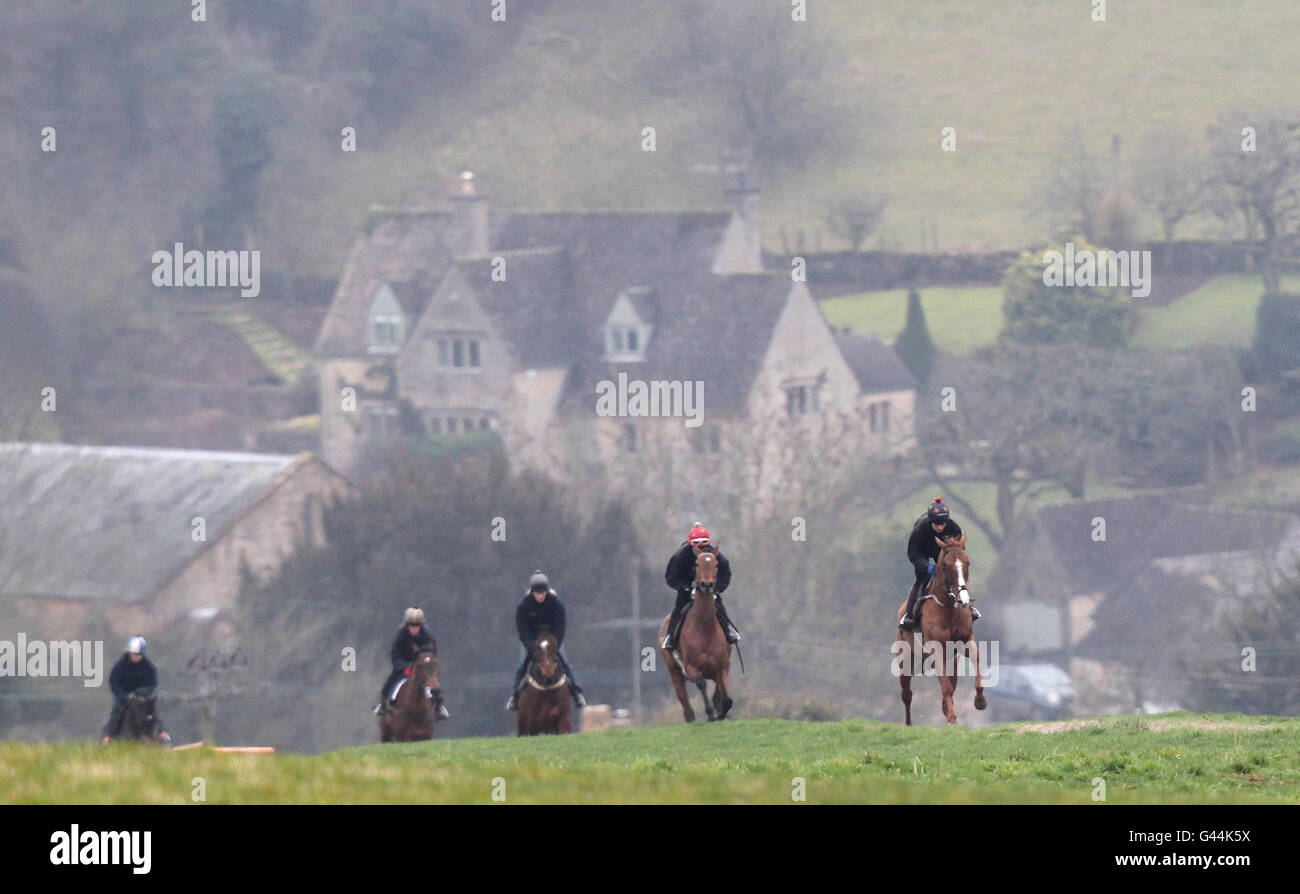 Racing cheltenham general view gv riding mangsm hi-res stock ...