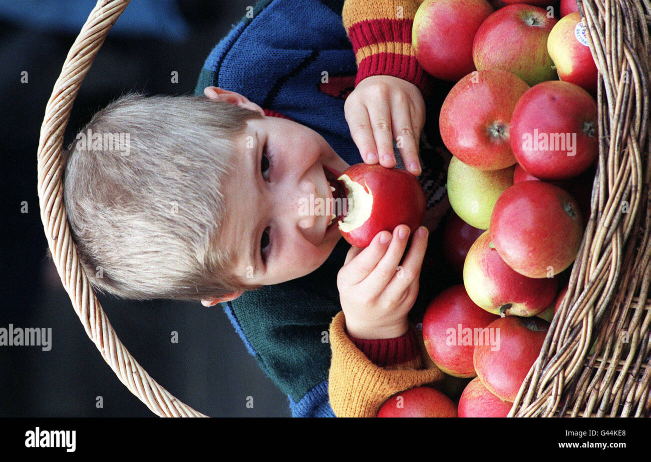 Gap-toothed Joshua Smith, 6, from Chelmsford, Essex gets his teeth into ...