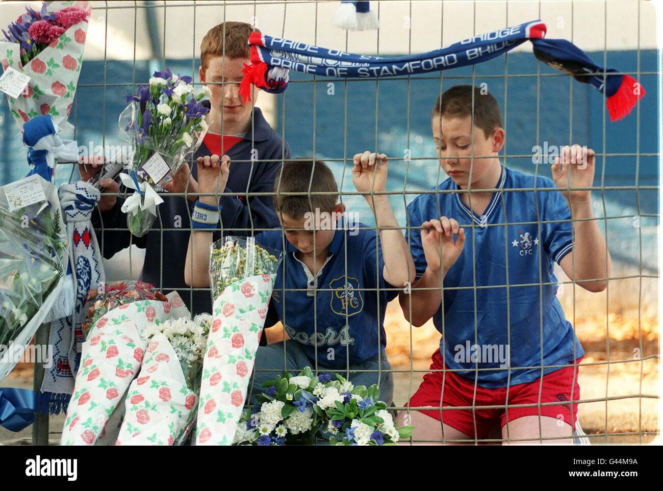 Chelsea fans 2 Stock Photo - Alamy