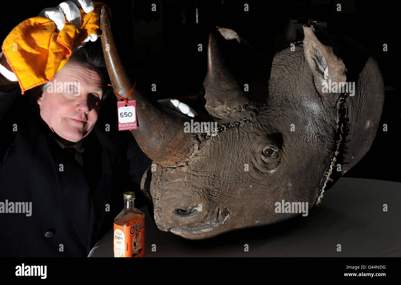 Auctioneer Jim Railton, based in Alnwick, with a rare black rhinoceros ...