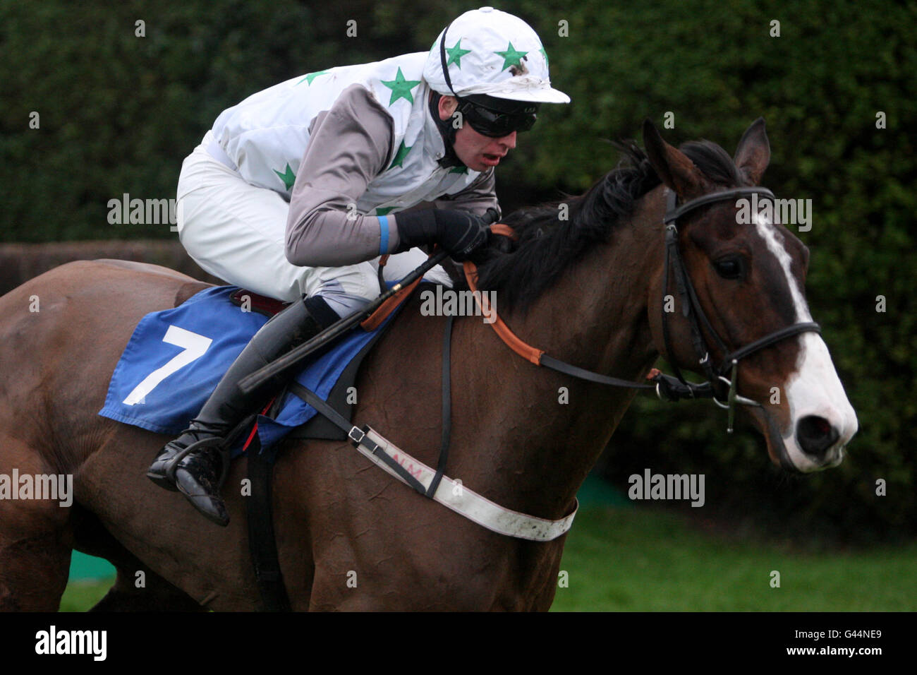 Jockey steven clements on drybrook bedouin farm frites handicap chase ...