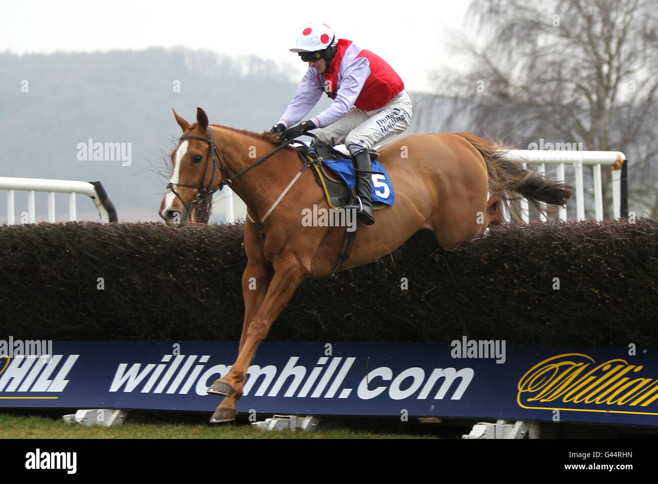 Horse racing horseracing races full length sign signage hi-res stock ...
