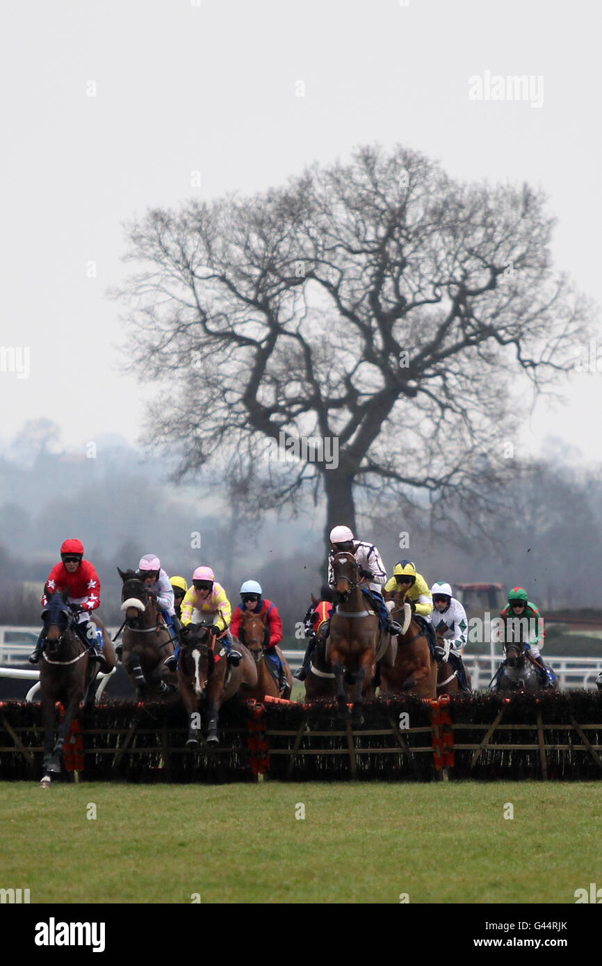 Horse Racing - Ludlow Racecourse Stock Photo - Alamy