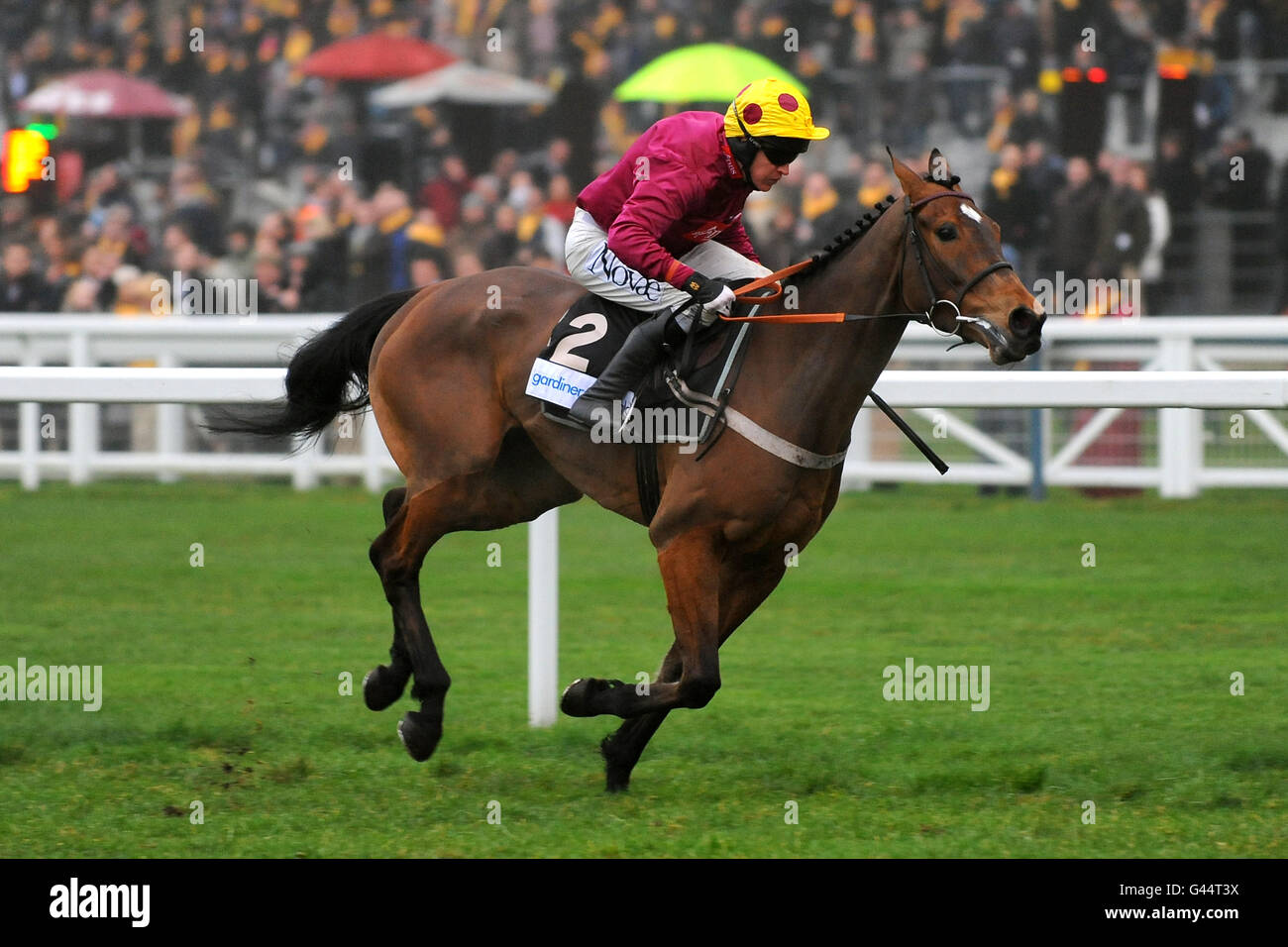 Jockey Barry Geraghty on Mono Man on the way to second place in the ...