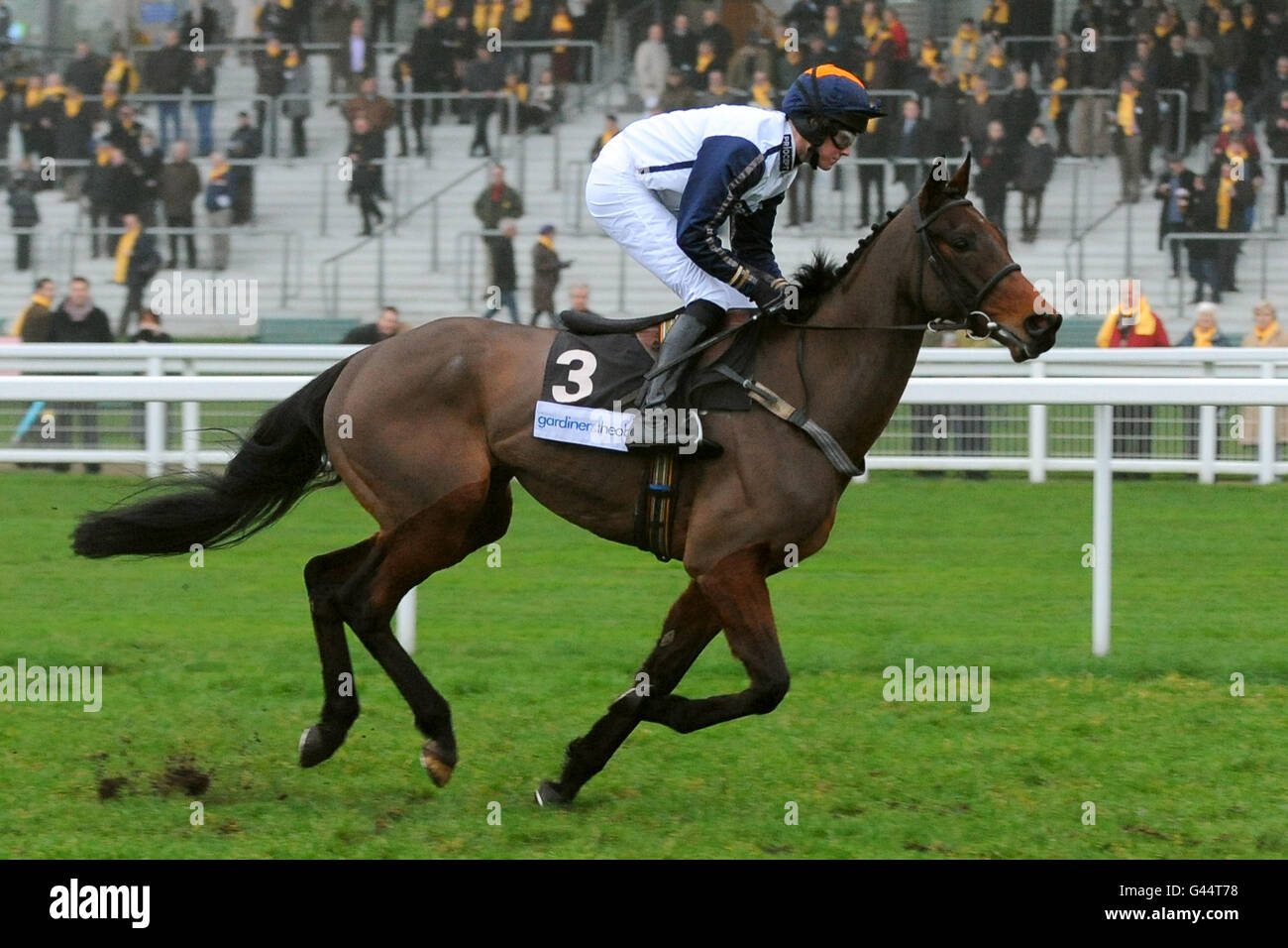 Horse Racing - Betfair Ascot Chase Day - Ascot Racecourse. Jockey Tom ...