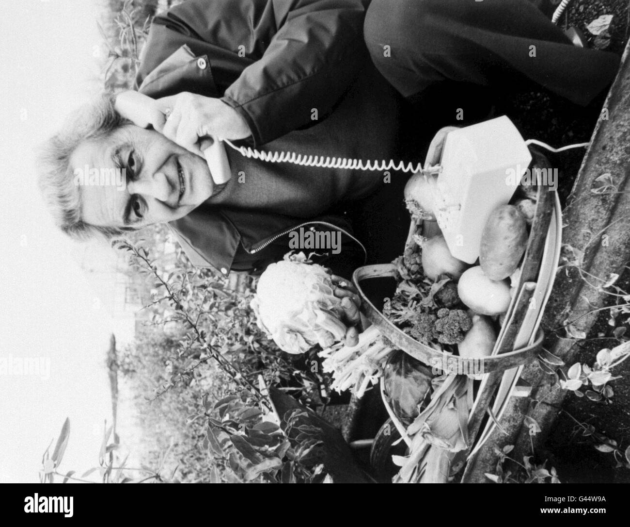 File operation Black and White Stock Photos & Images - Alamy