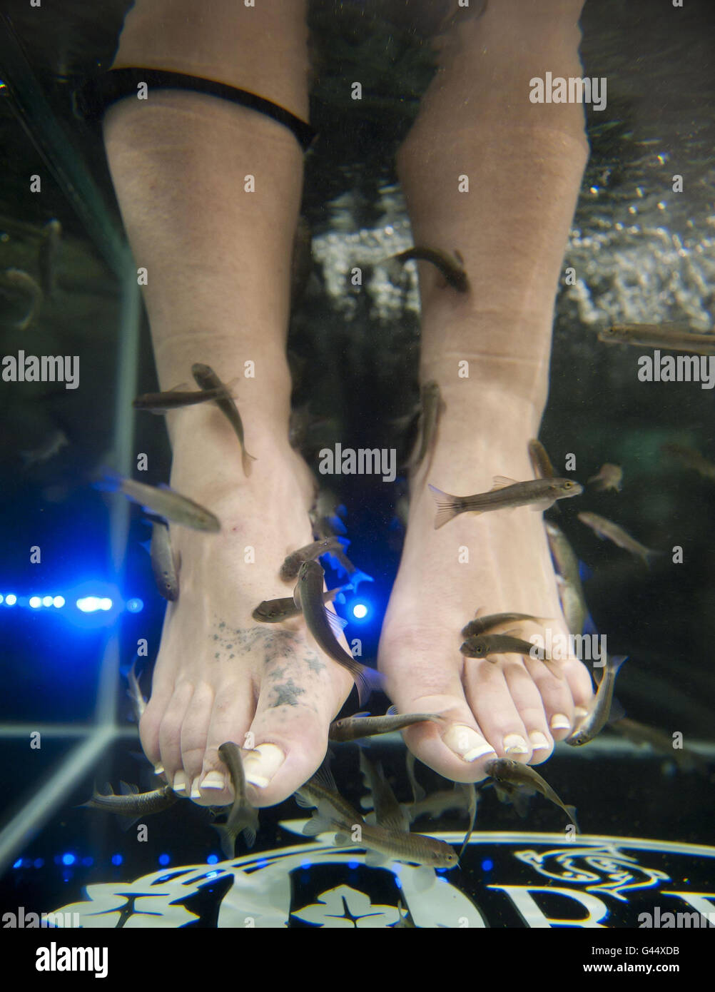 Georgia Segal tries out the Orba Garra Spa treatment which uses Garra ...