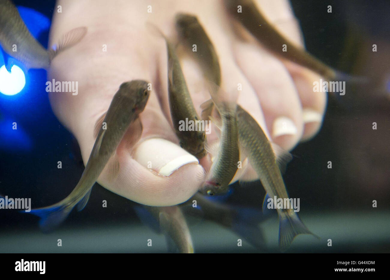 Georgia Segal tries out the Orba Garra Spa treatment which uses Garra ...