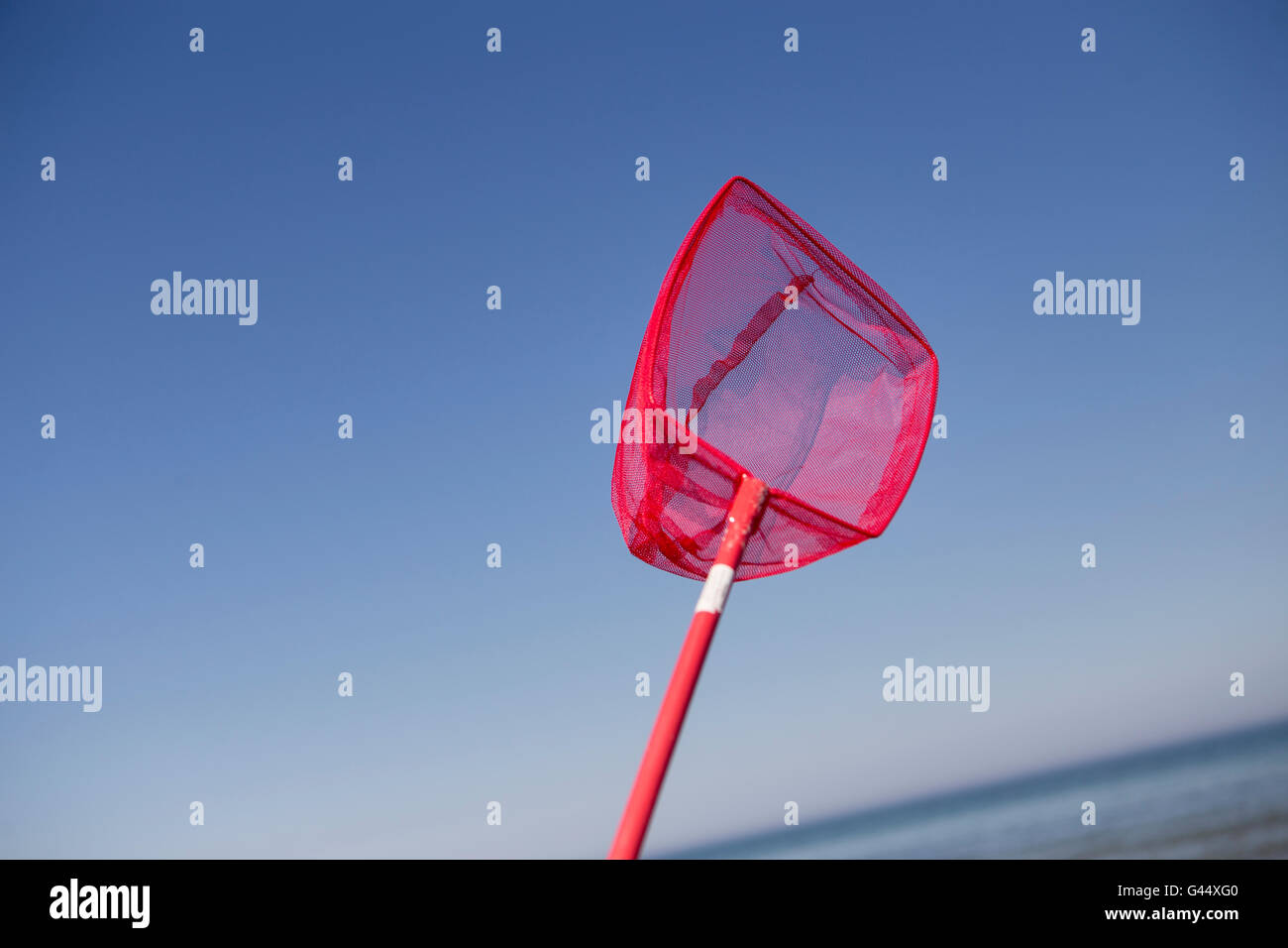 Red butterfly net Stock Photo - Alamy