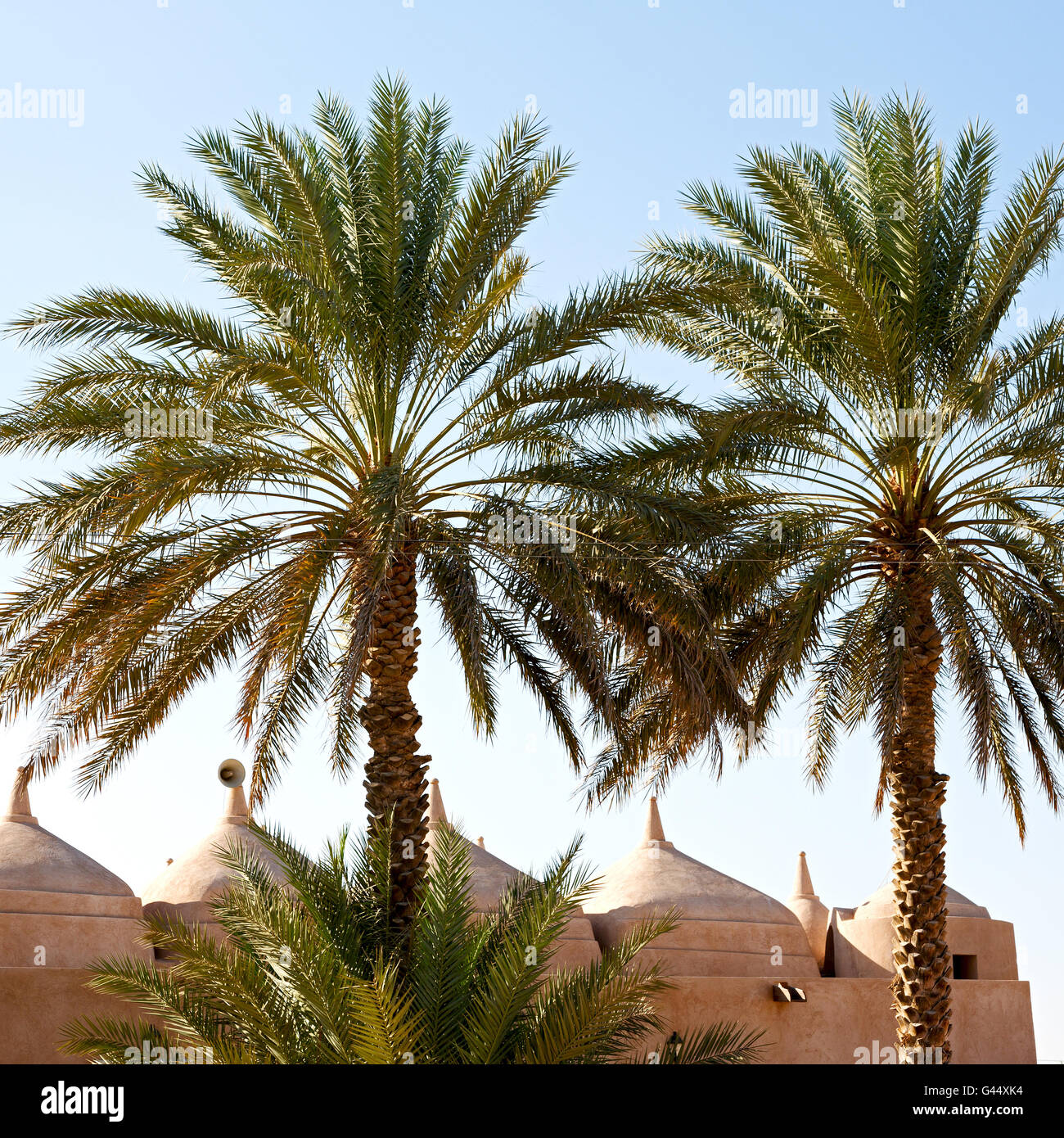minaret and religion in clear sky in oman muscat the old mosque Stock ...