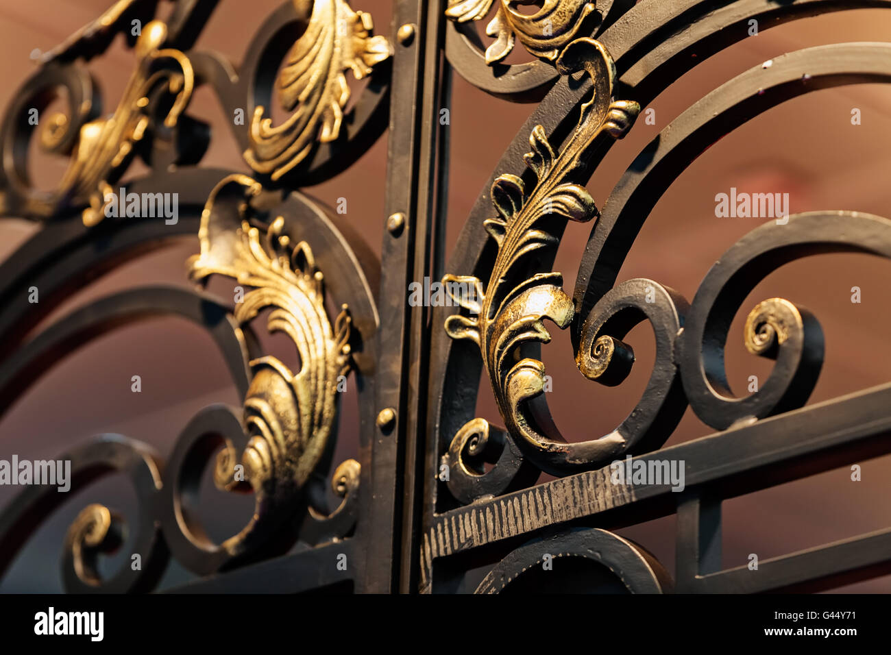 details of structure and ornaments of wrought iron fence and gate Stock ...