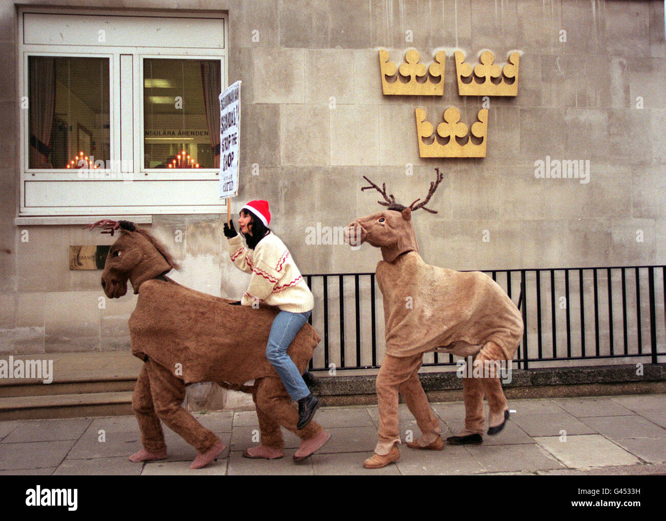 Pantomime reindeer, ridden by Linda Darold of Luton, protest outside ...