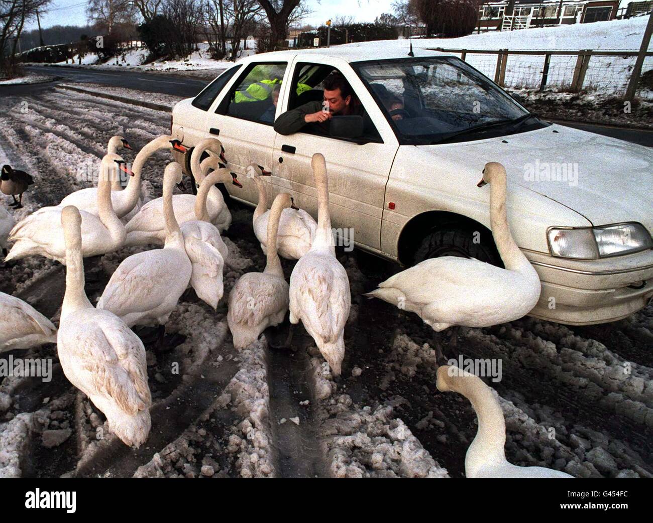 Starving story hi-res stock photography and images - Alamy