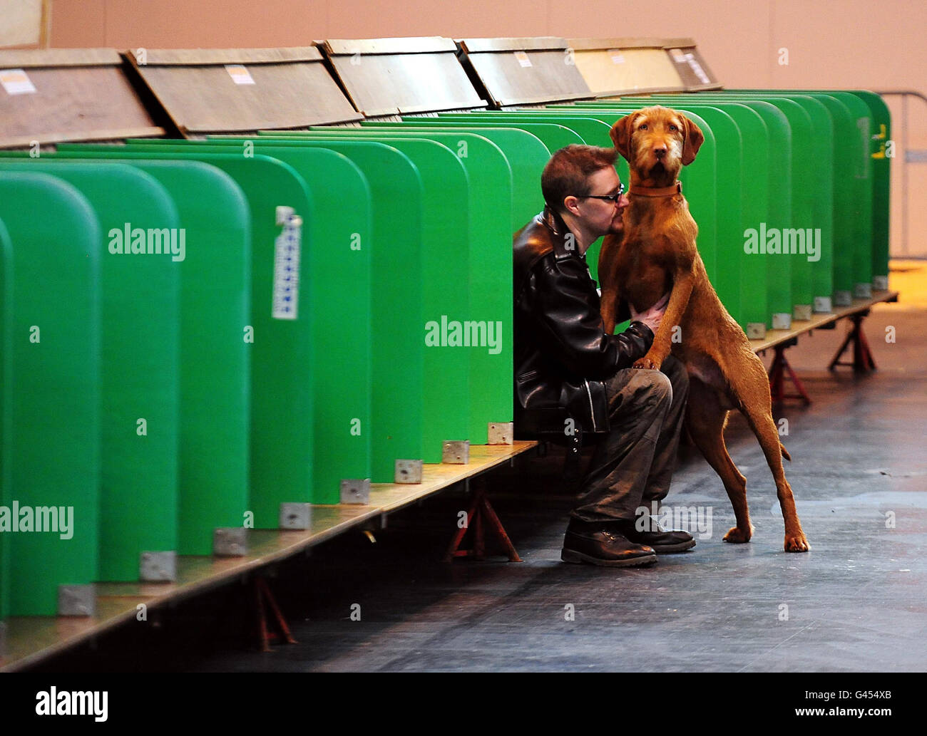 An Italian Spinone dog with it's owner amongst empty stalls during ...