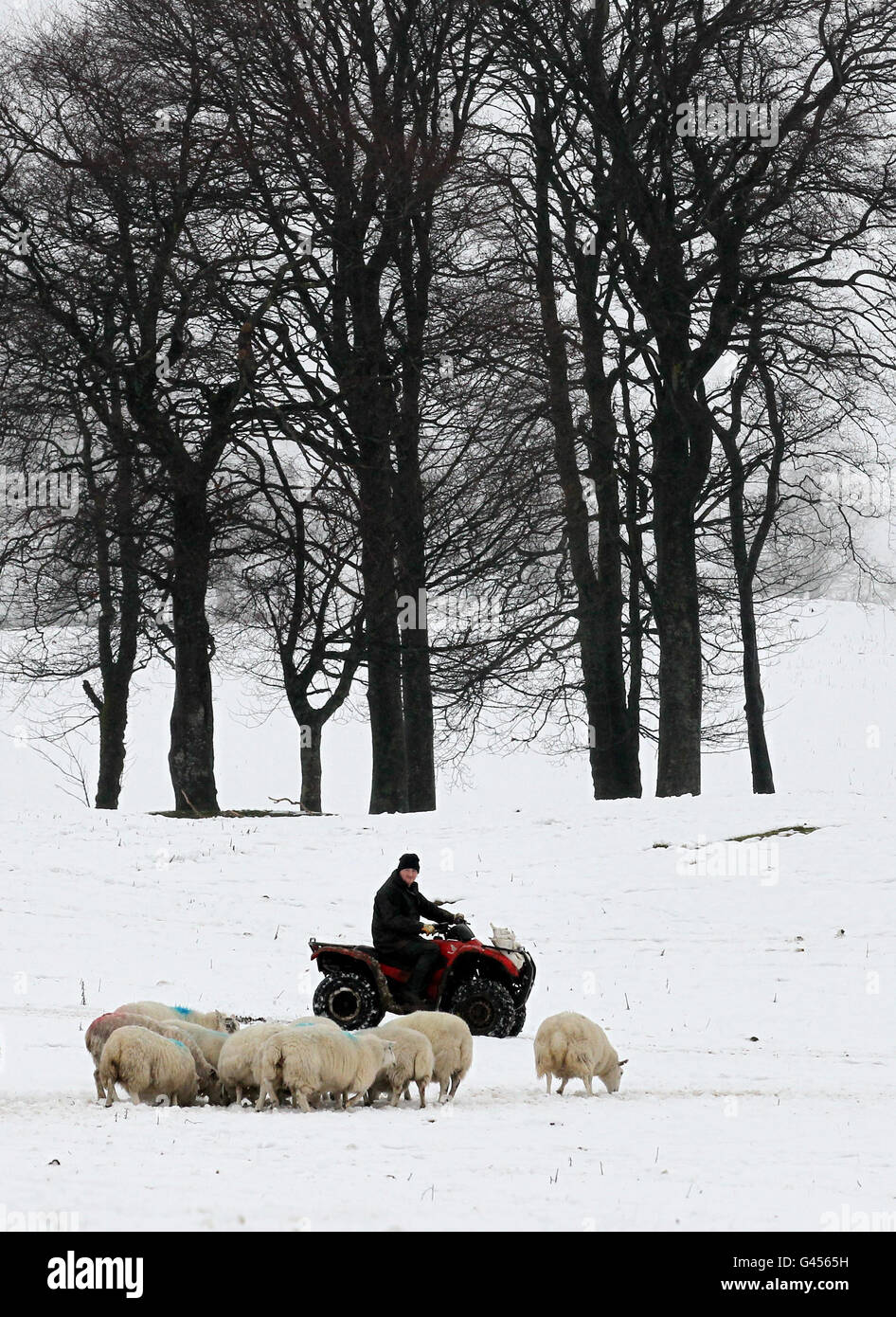 Farmer peter laidlaw hi-res stock photography and images - Alamy