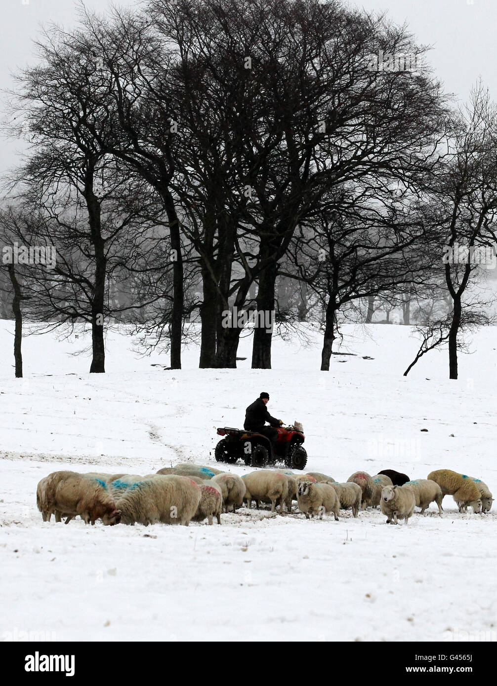 Farmer peter laidlaw hi-res stock photography and images - Alamy