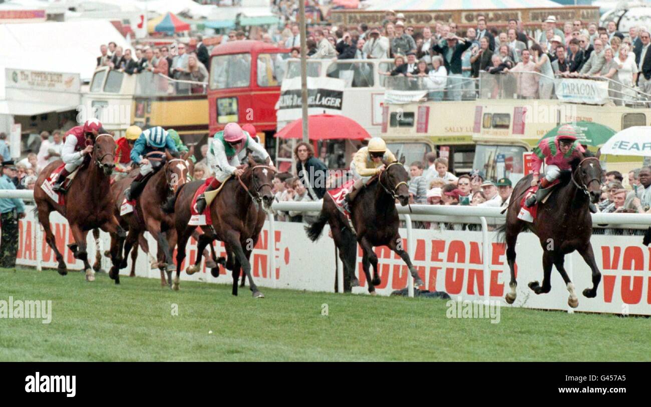 Derby/cross course finish Stock Photo - Alamy