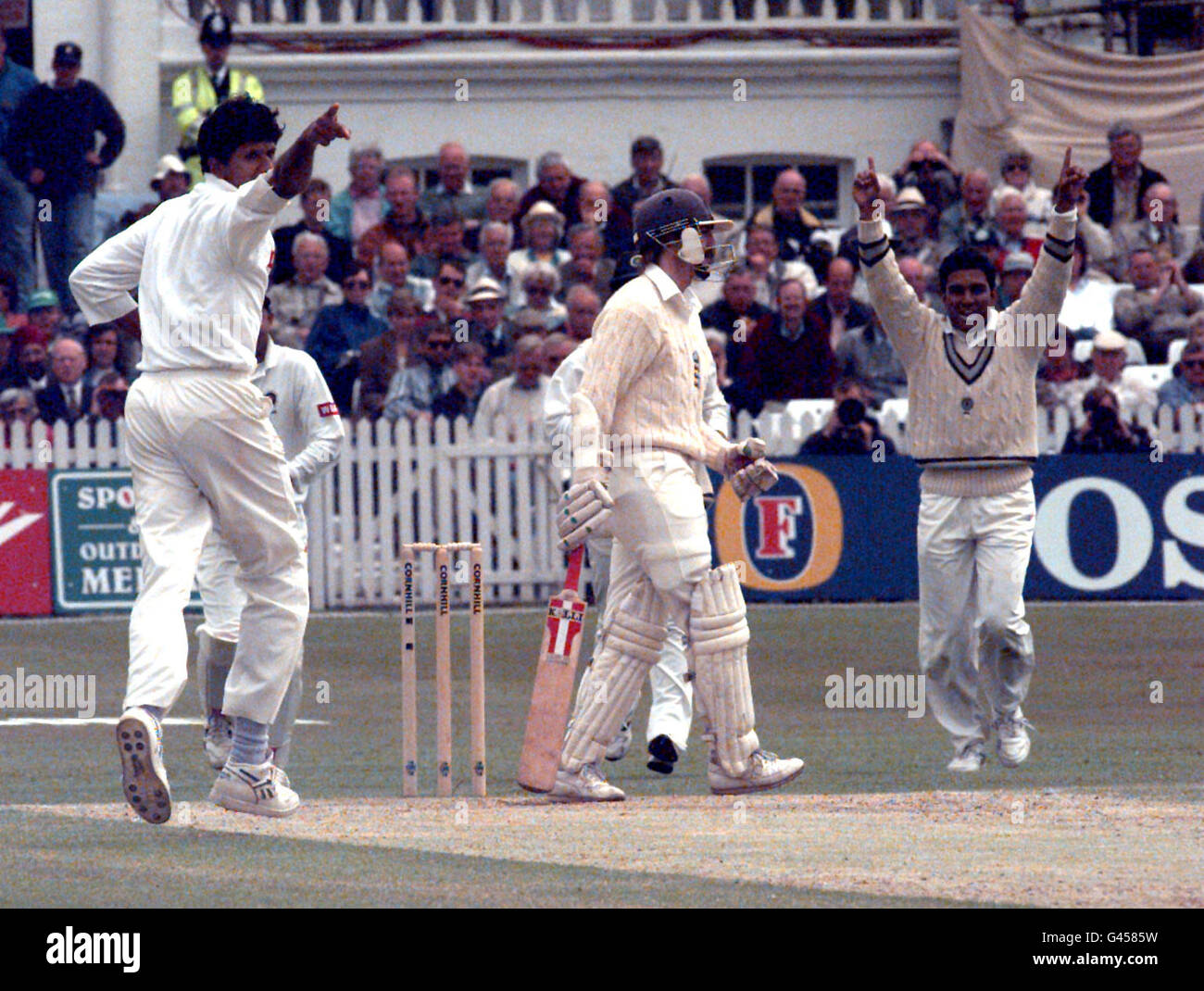 Englands jack russell hi-res stock photography and images - Alamy