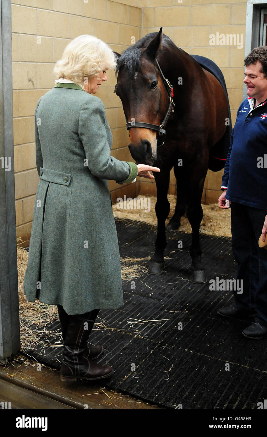 The Duchess of Cornwall feeds a horse during a visit to Unicorn ...