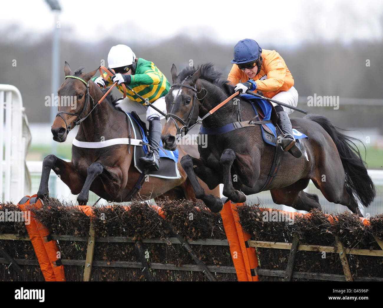 Winners richard osullivan 40th birthday national hunt novices hurdle ...