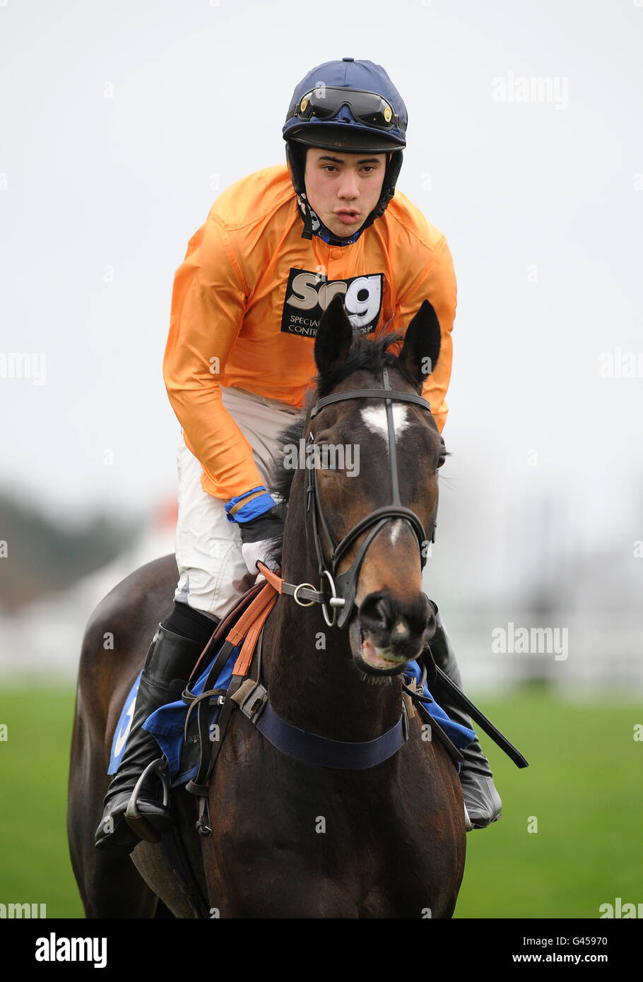 Winners richard osullivan 40th birthday national hunt novices hurdle ...