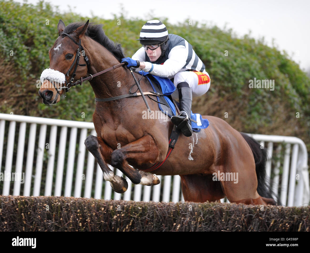 Chase family day sandown park High Resolution Stock Photography and ...