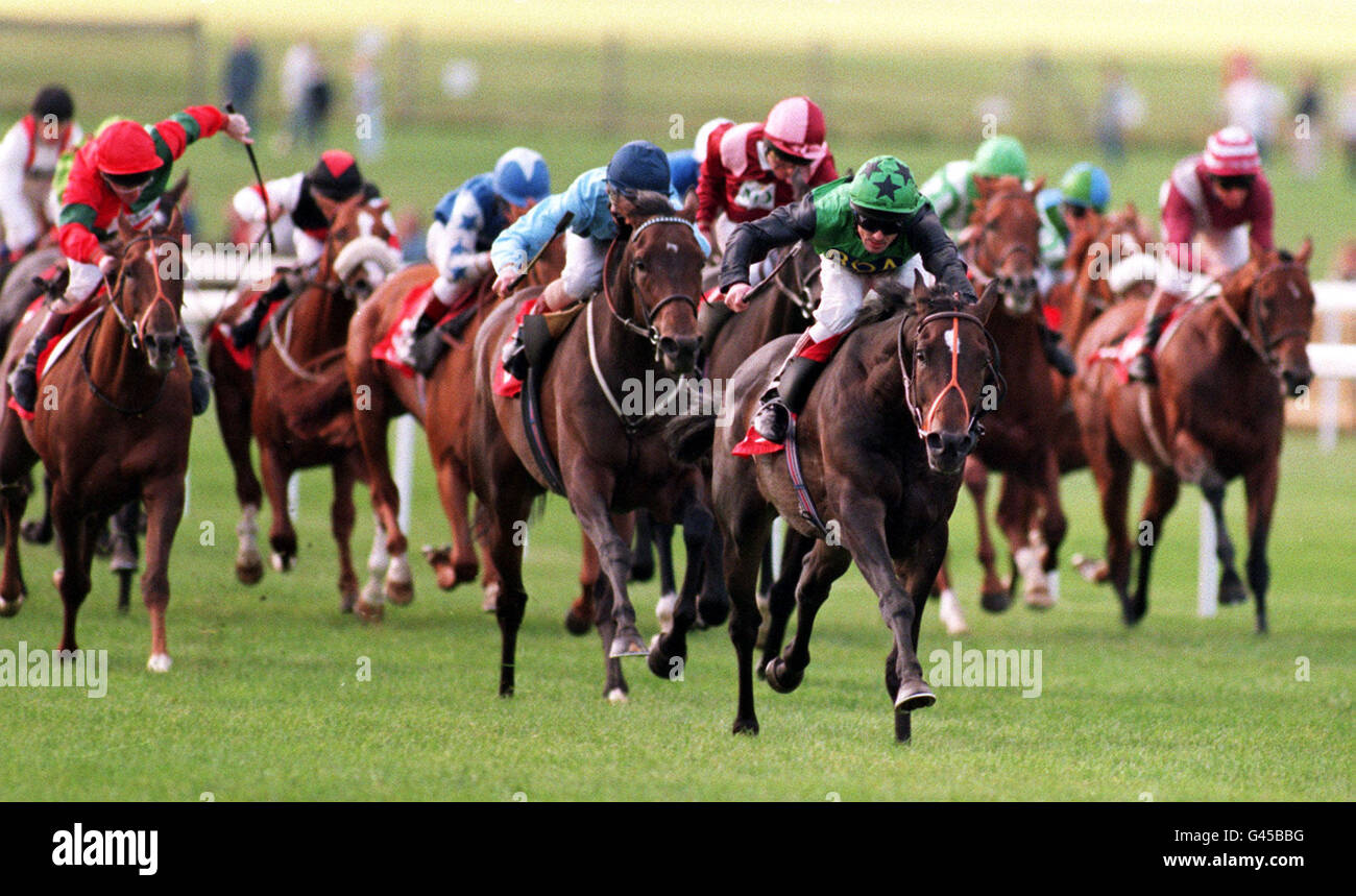 Clifton Fox with Nigel Day up (centre), wins The Tote Cambridgeshire ...