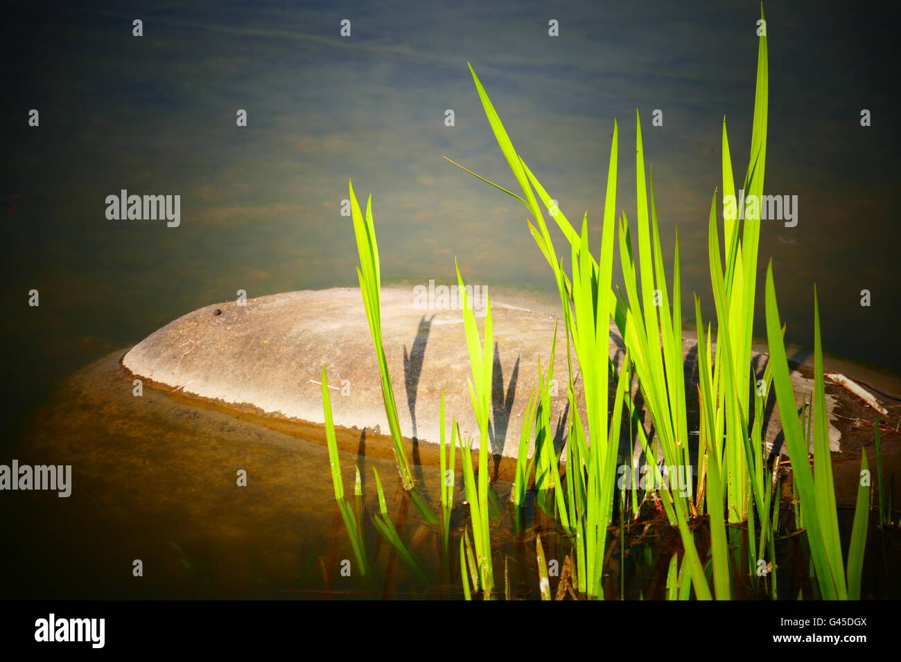 People enjoy beautiful spring hi-res stock photography and images - Alamy