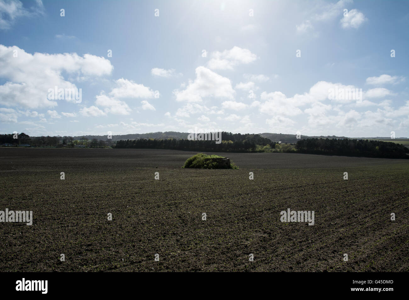Building in a farmed field Stock Photo - Alamy