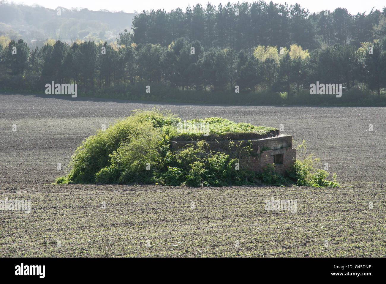 Building in a farmed field Stock Photo - Alamy